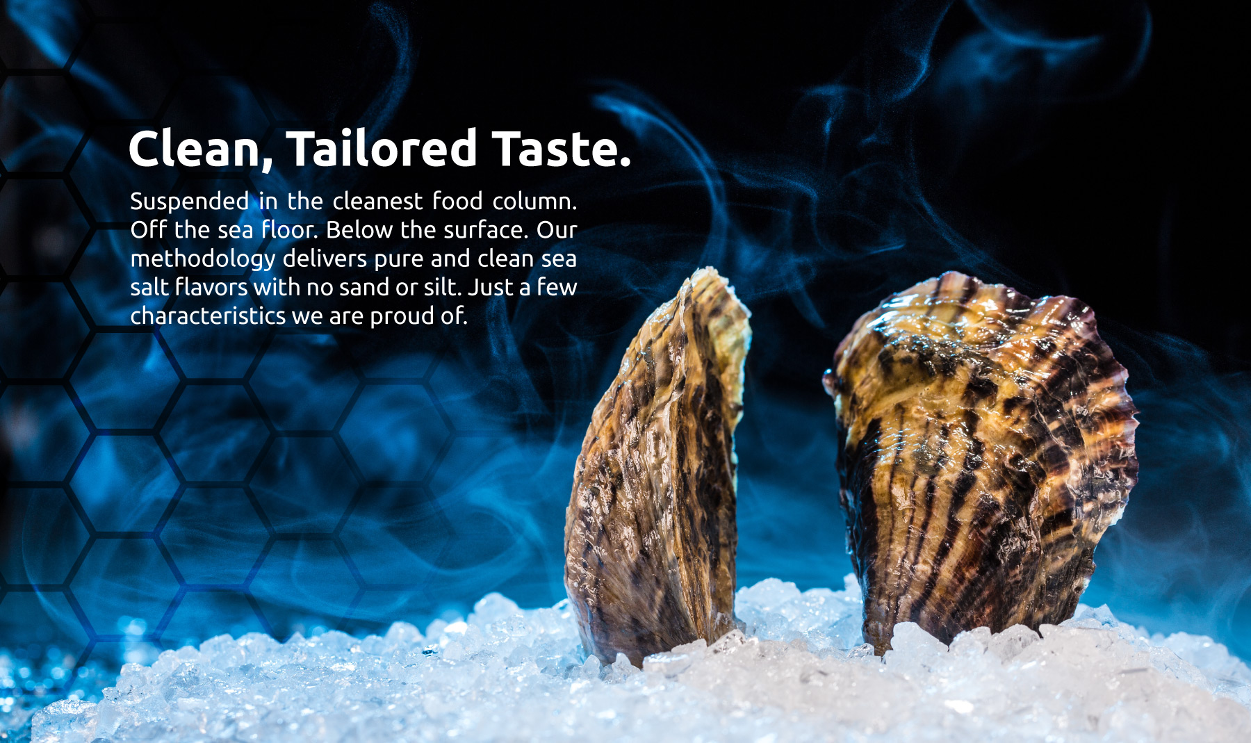 a fresh catch fish seafood January 29 to February 4 2017