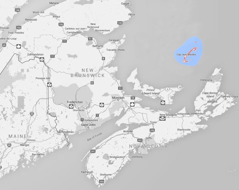 Magdalen Islands Oysters