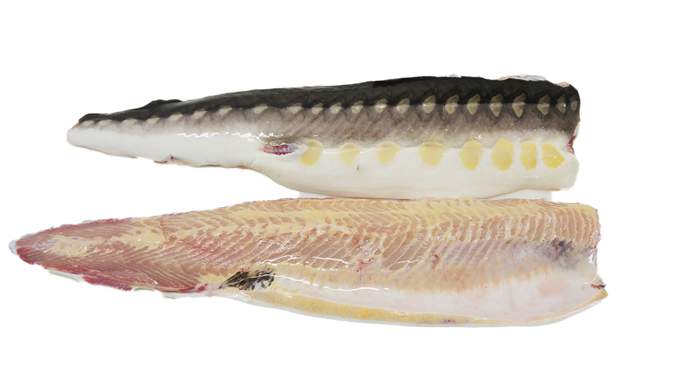 a fresh catch fish seafood June 11 to 17 2017 acadian sturgeon filelts ...