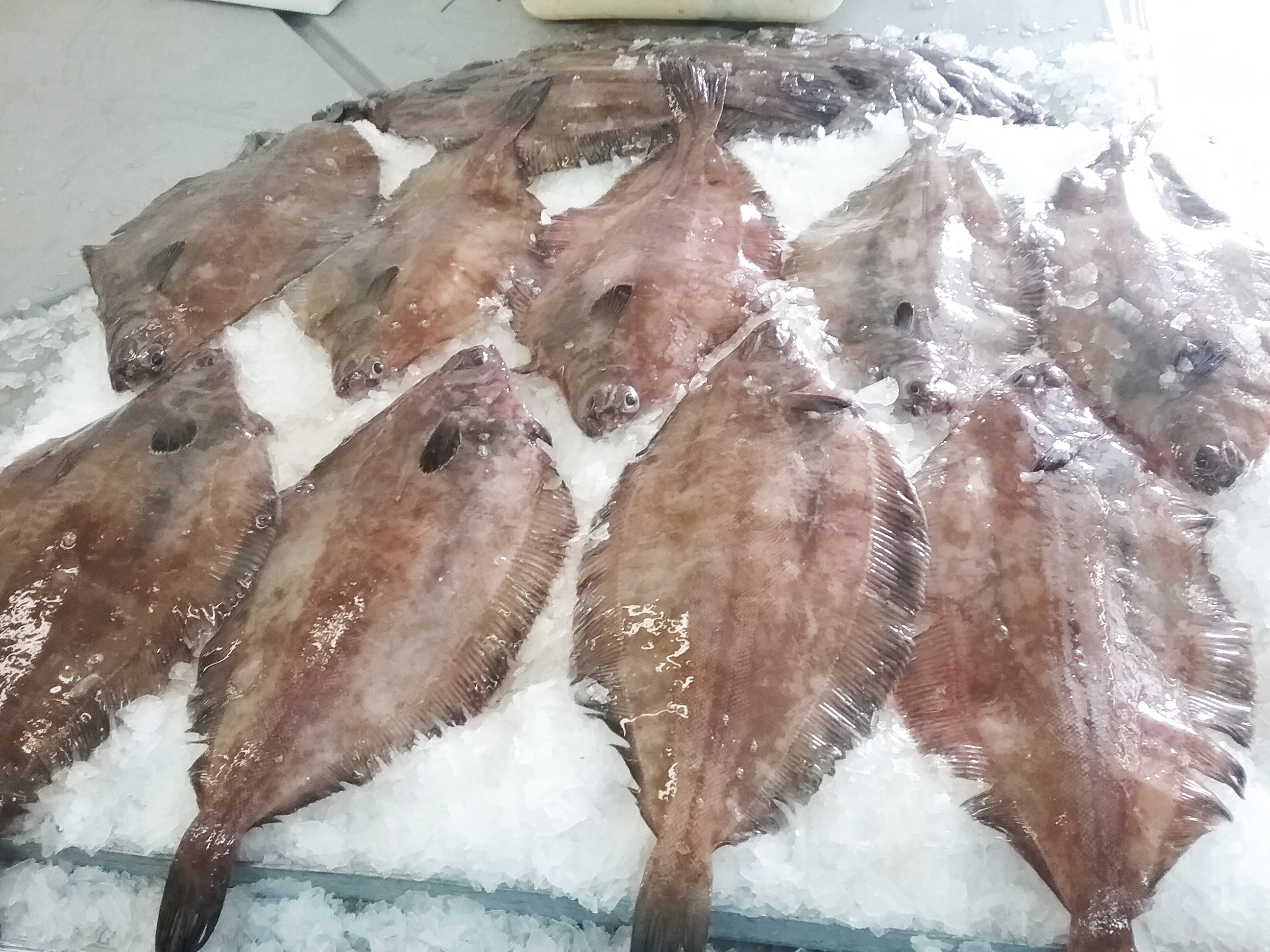 a fresh catch feature fish seafood June 3 to 9, 2018, Whole Gray Sole ...